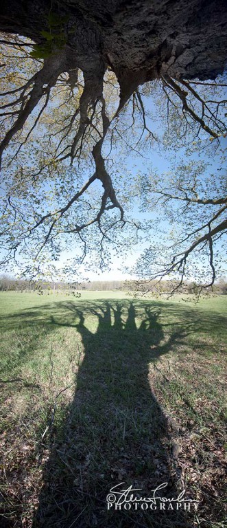Art Photography – Steve Loveless Photography