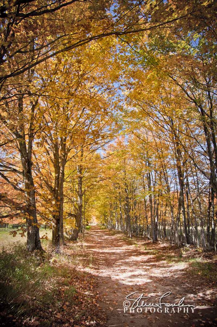 Michigan Upper Penninsula – Steve Loveless Photography